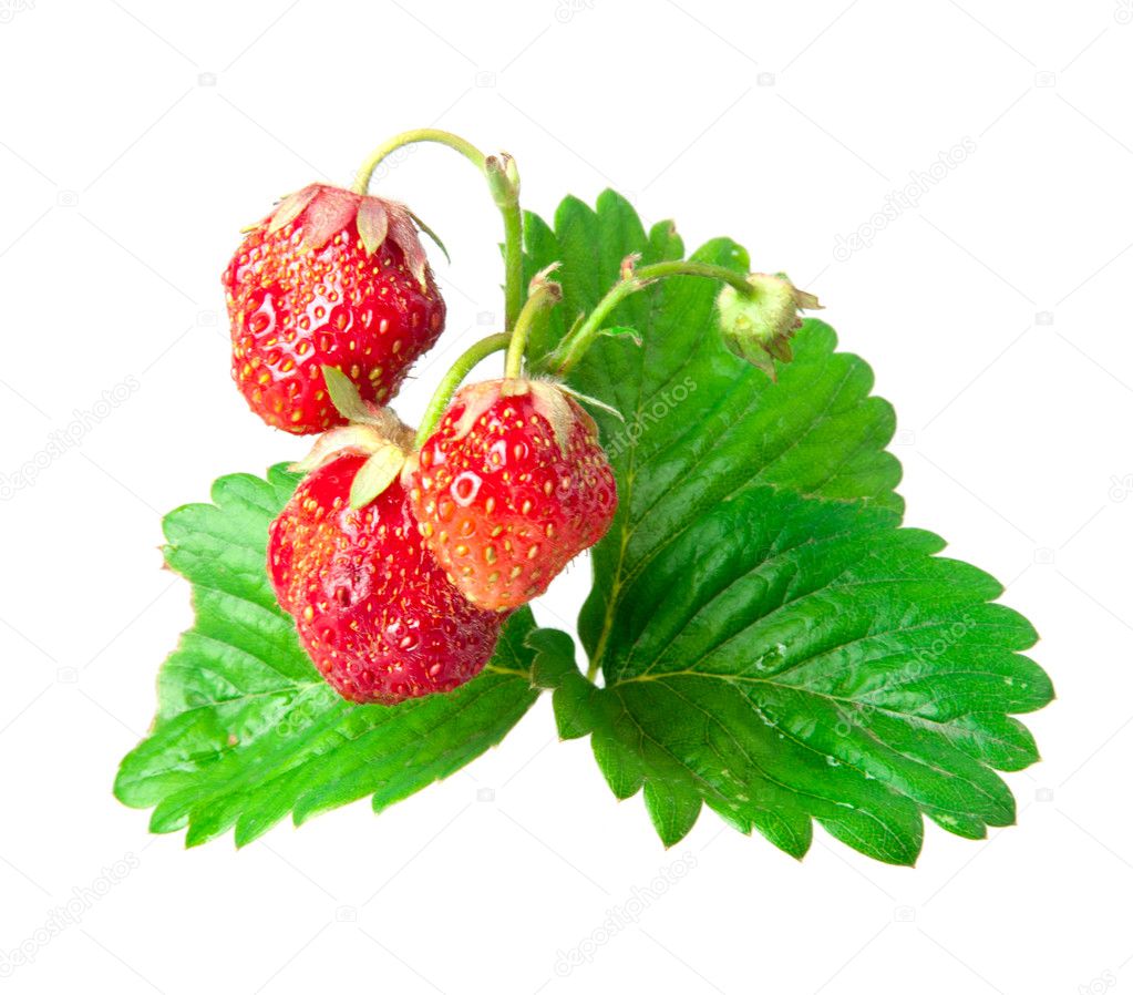 Three strawberries — Stock Photo © loskutnikov #7492028
