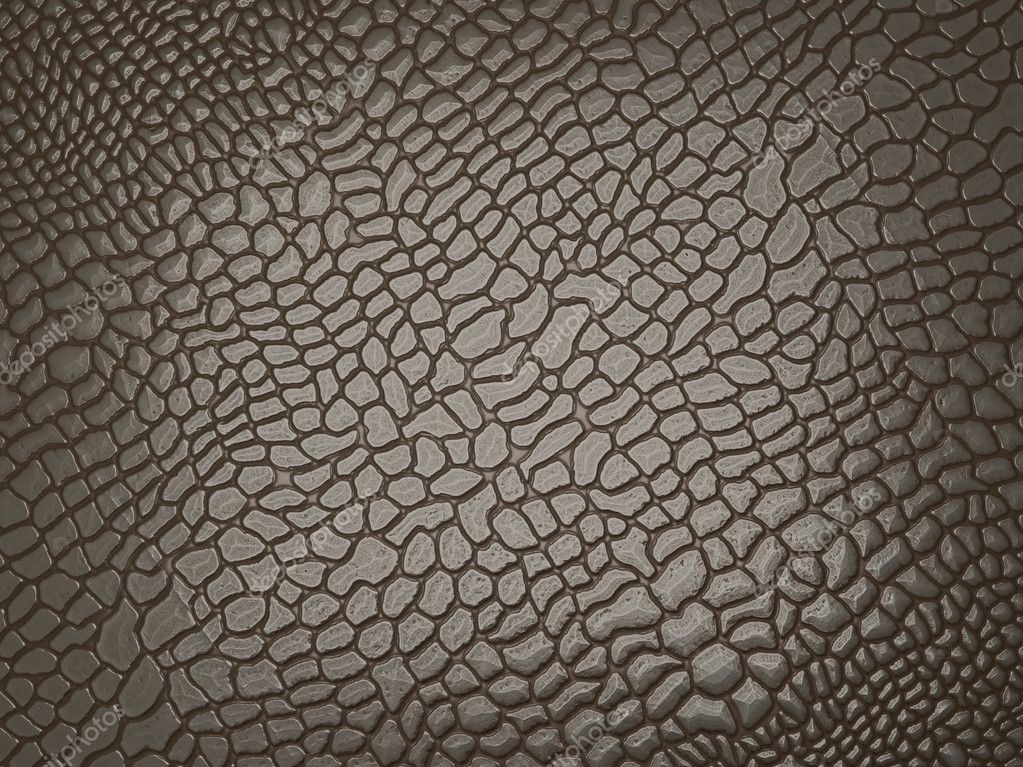 Alligator skin: useful as texture or background Stock Photo by ©Arsgera ...