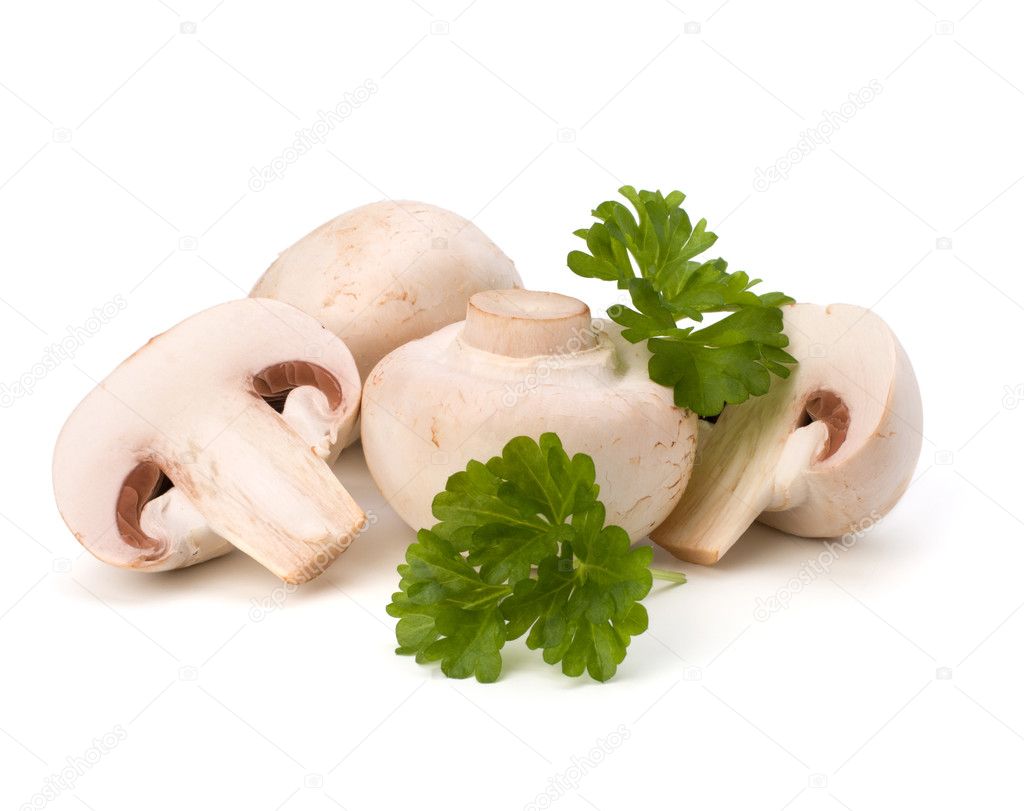 Champignon mushroom — Stock Photo © natika #7012611