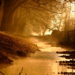 Magic morning at the park — Stock Photo © .shock #7944581