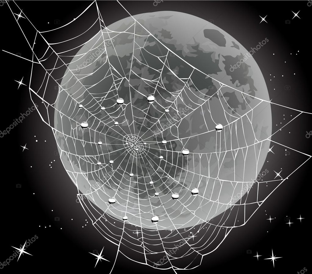Spider web and drops on moon background — Stock Vector © Dr.PAS #7199907