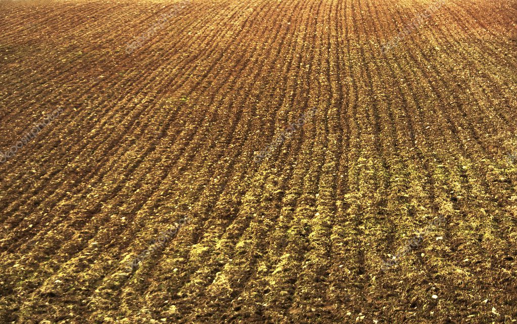 Ploughed field texture Stock Photo by ©inaquim 7847250
