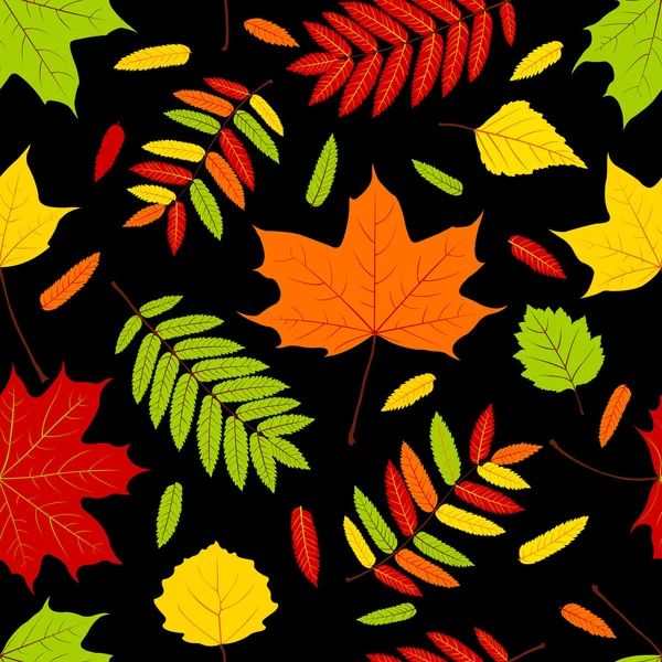 Set of silhouettes of leaves. — Stock Vector © Amalga #7087654