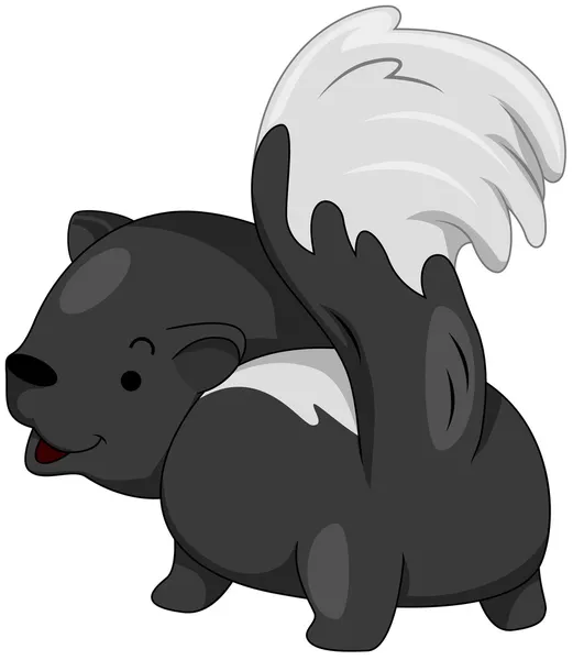 Wild skunk Stock Photos, Royalty Free Wild skunk Images | Depositphotos®
