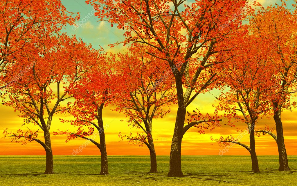 Beautiful autumn trees — Stock Photo © Vilnis #7155957