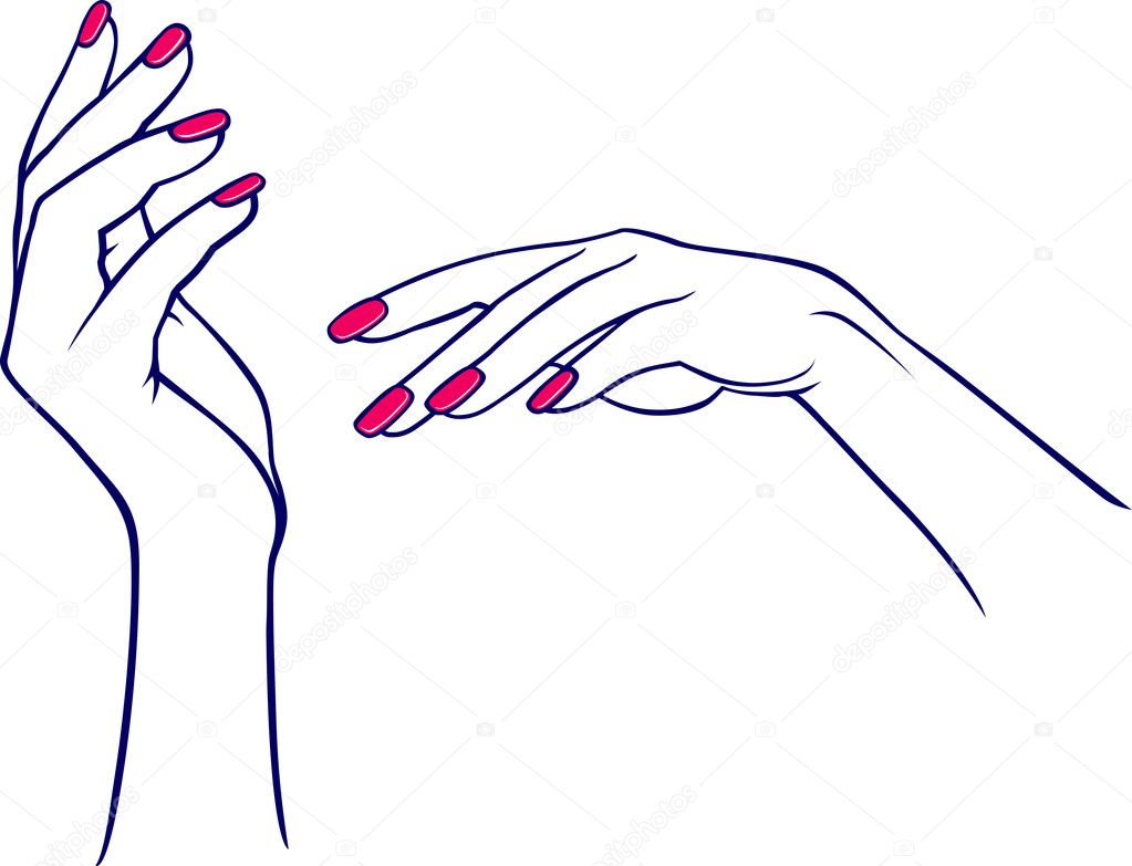 Womans hands — Stock Vector © arlatis #6948840