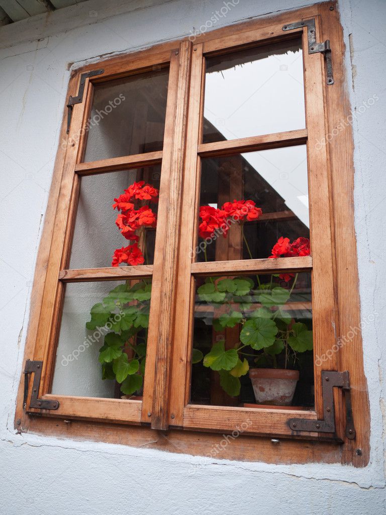 Geraniums in the window — Stock Photo © hraska #7139825