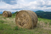 Free Stock photo of Round hay bales stacked in a field | Photoeverywhere