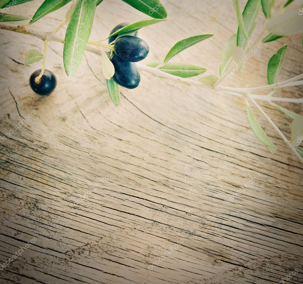 Olive branch on wooden background — Stock Photo © mythja #7272531
