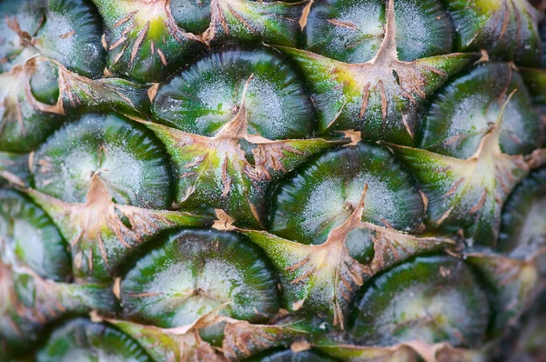 Pineapple Stock Photo by ©vladvitek 33718113