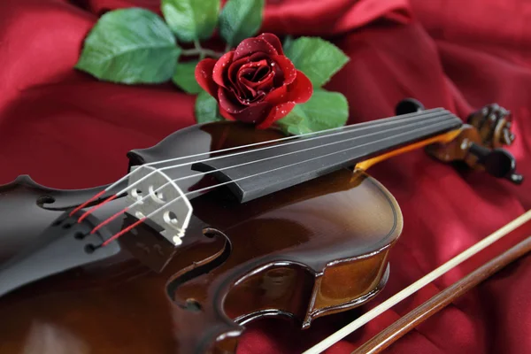 Violin Pictures, Violin Stock Photos & Images | Depositphotos®