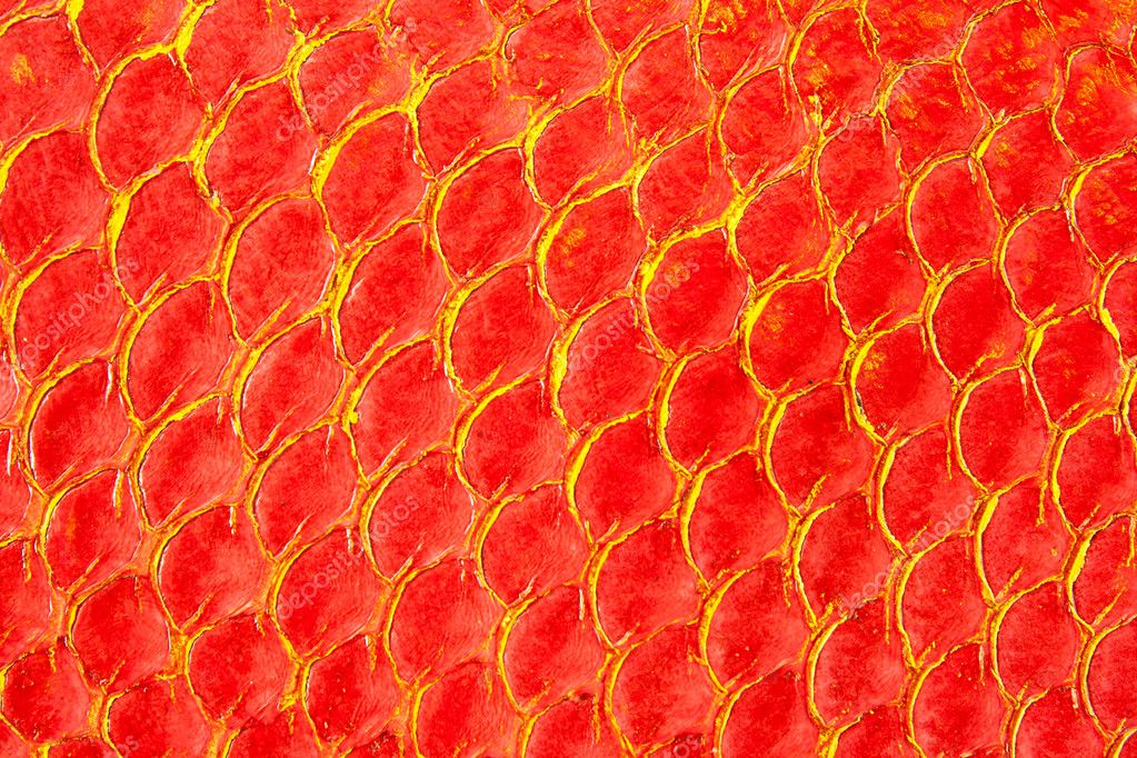 Texture de peau de poisson rouge — Photographie sritangphoto © #6869923
