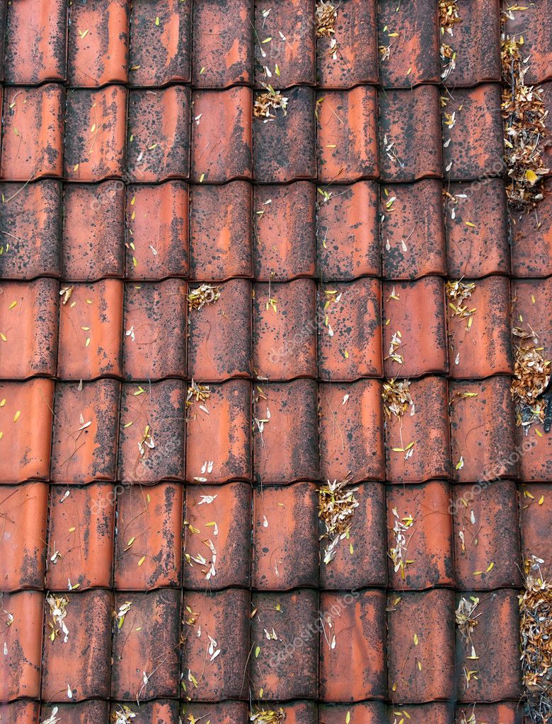 oude rode dakpannen — Stockfoto © drmadra #7010569