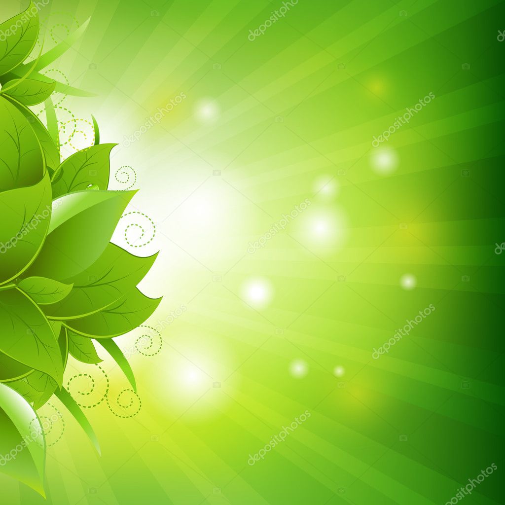 Green Poster With Leaves With Grass — Stock Vector © barbaliss #7591911