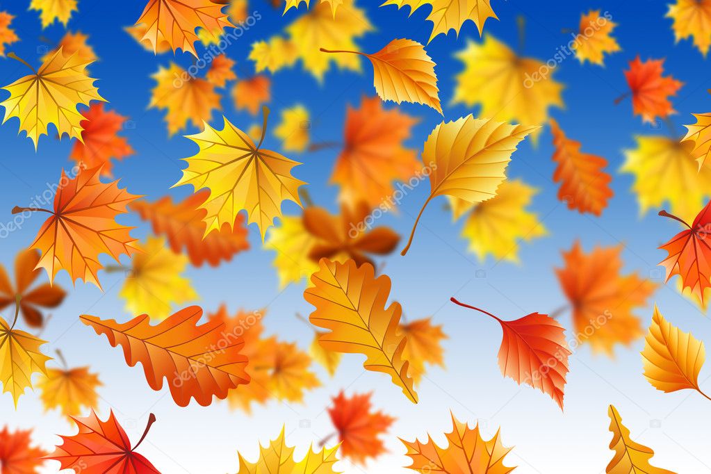 Autmn leaves — Stock Photo © Photojog #7177823