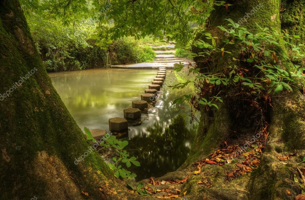 Beautiful forest scene of enchanted stream flowing through lush — Stock ...
