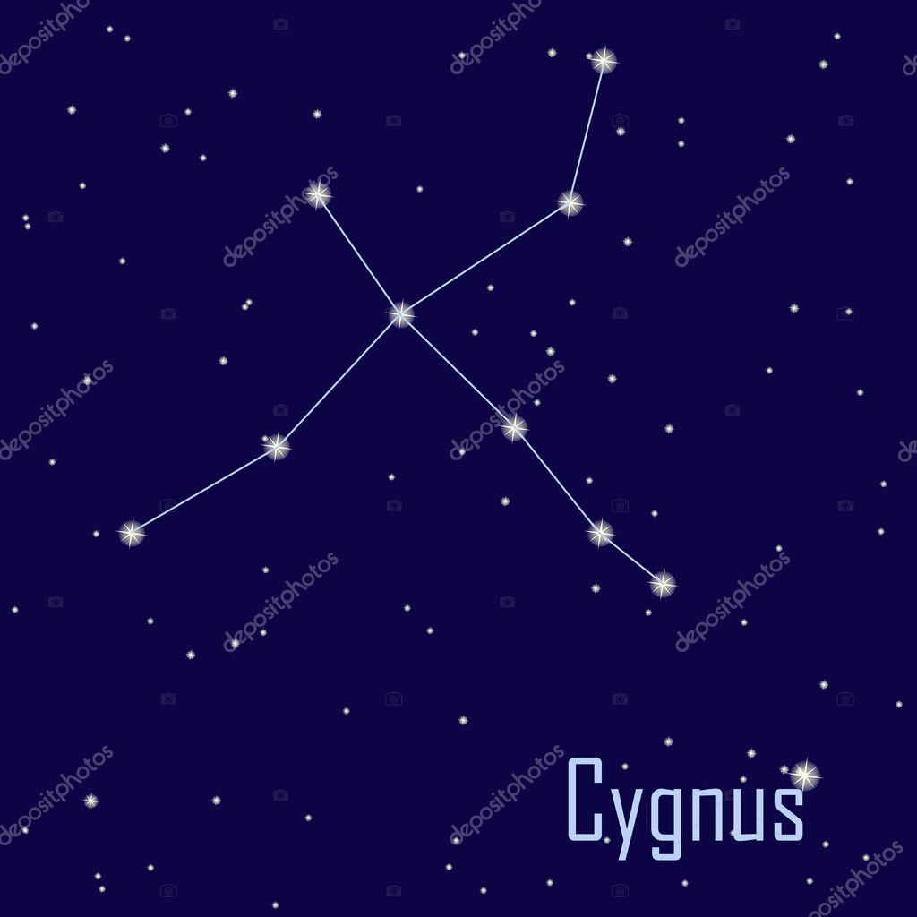 The constellation " Cygnus" star in the night sky illust — Stock Photo ...