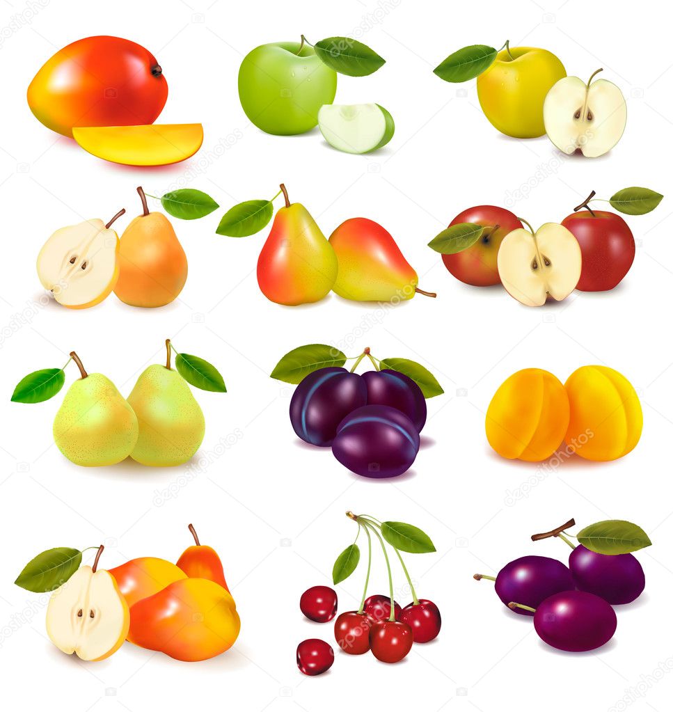 Group with different sorts of fruit. Vector. — Stock Vector © almoond ...