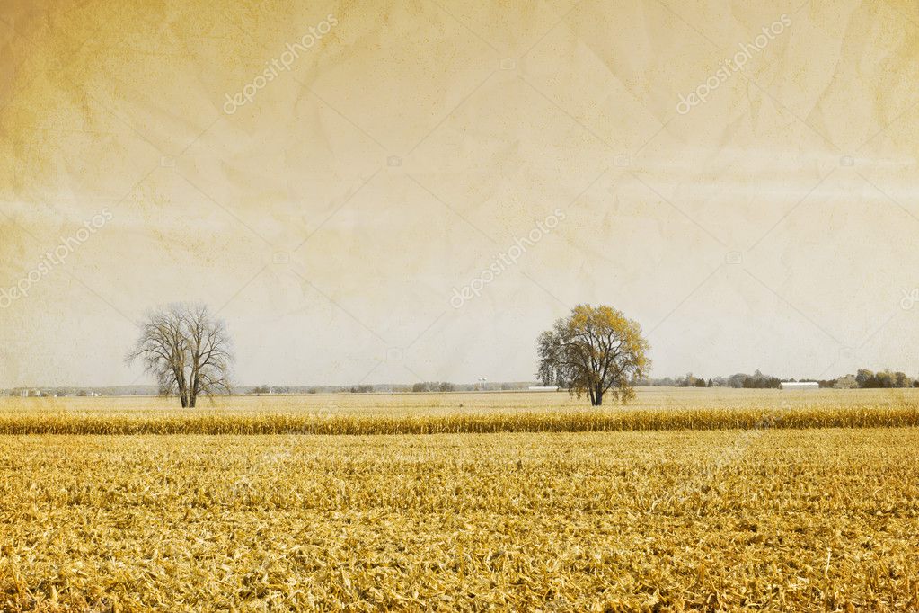Old Picture Design - American Country — Stock Photo © maxym #7608033