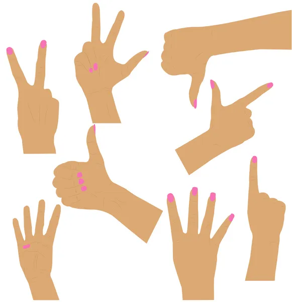 3,387 Knuckle Vectors, Royalty-free Vector Knuckle Images | Depositphotos®