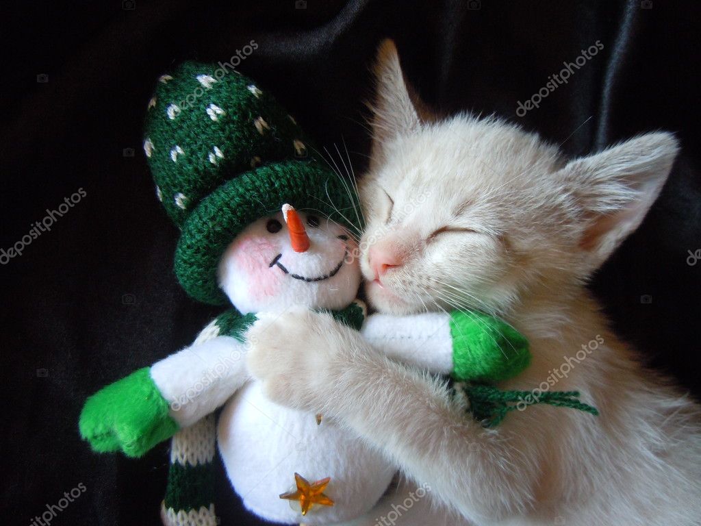 Kitten cuddling with snowman toy — Stock Photo © katia26 #6987553