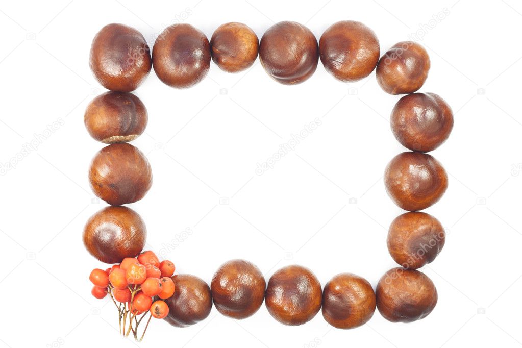Autumn natural chestnut rectangular frame on white background Stock ...