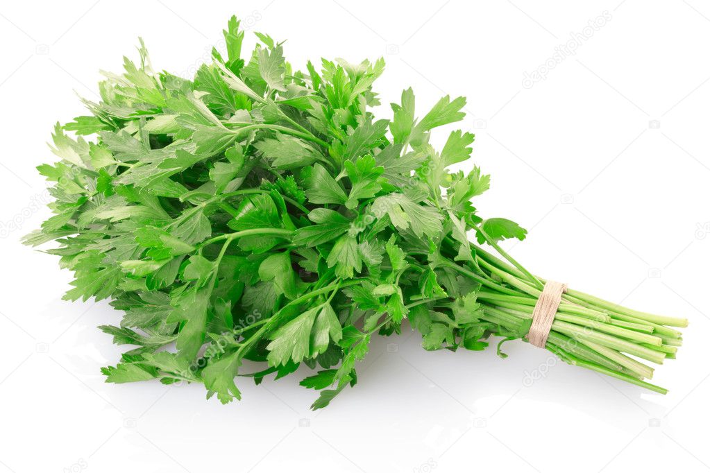 Grön persilja blad gäng — Stockfotografi © AndreaA. #7040160