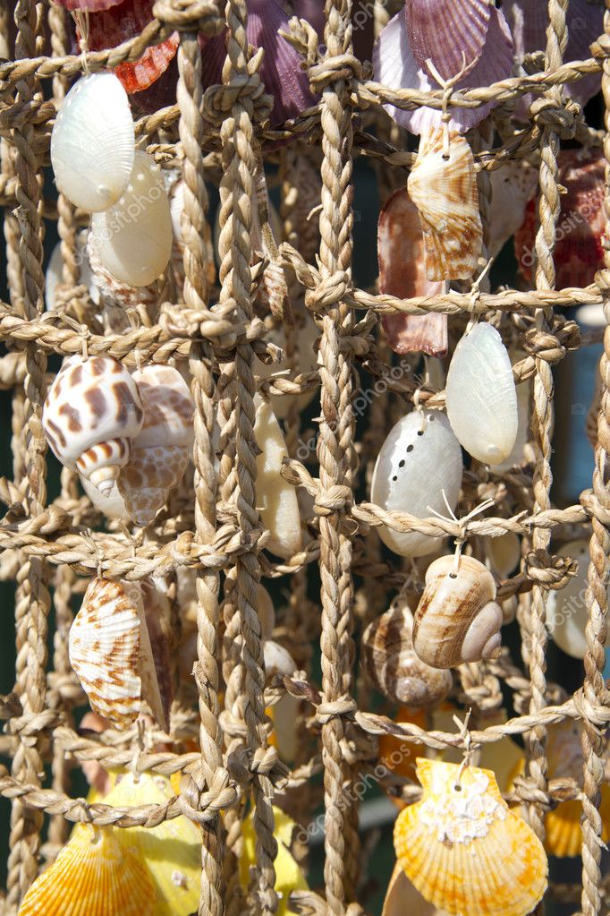 Sea shells on fishing net — Stock Photo © Fotografiche #7024041