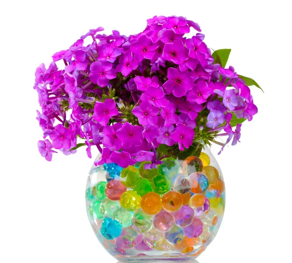 Beautiful flowers in vase — Stock Photo © belchonock #6791029