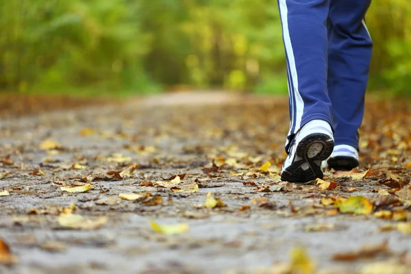 Woman walking cross country trail in autumn forest - Stock Image ...