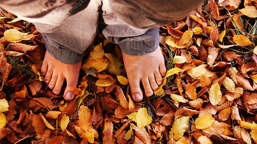 Barefoot in the leaves Stock Photo by ©Hasenonkel 7319763