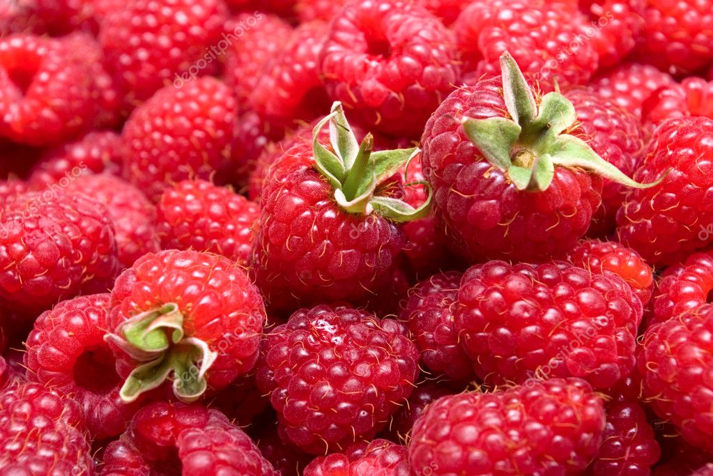 Red Raspberries Images at Alex Ansell blog