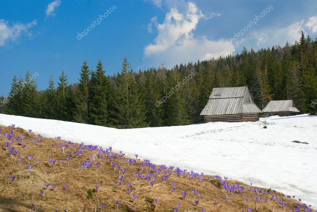 Spring in mountains — Stock Photo © kwasny222 #7651824