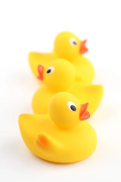 Rubber ducklings — Stock Photo © ingridhs #7452508