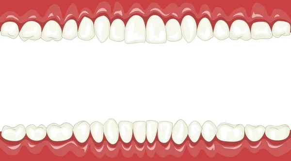 Zub Stock Vectors, Royalty Free Zub Illustrations | Depositphotos®