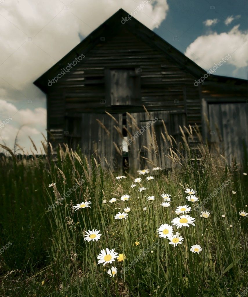 Old Barns With Beautiful Flowers