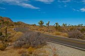 Free Stock photo of Road Through Desert in Joshua Tree National Park ...