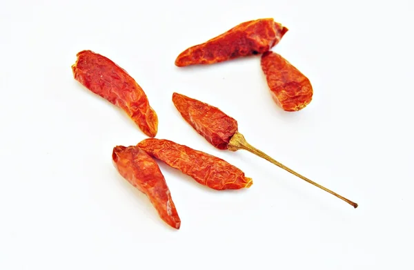 Flor cayena vector - Imagui