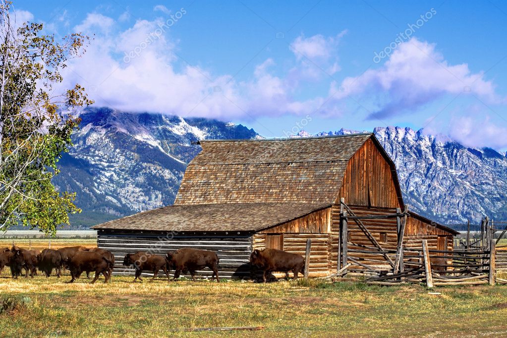 Mormon Row Barn in the Grand Tetons — Stock Photo © steve_byland #7930887